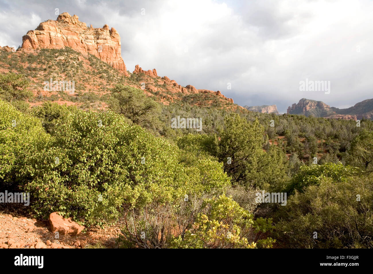 Red rock landscape of Sedona ; U.S.A. United States of America Stock ...