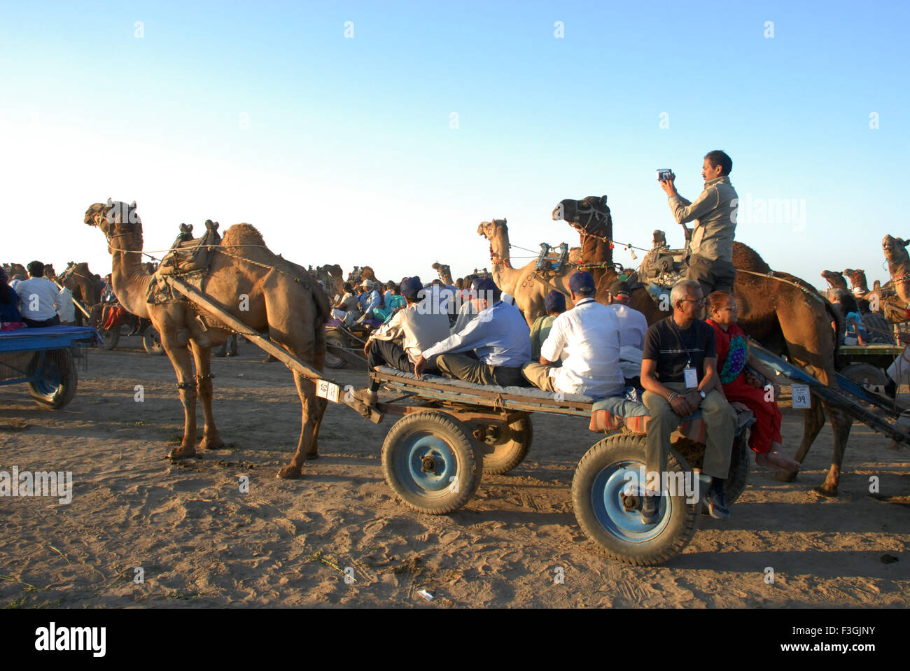 Camel cart rann of kutch hi-res stock photography and images - Alamy