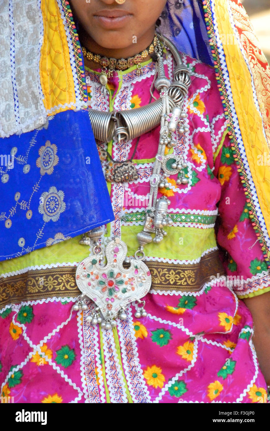 Kutchi woman in traditional costume ; Kutch ; Gujarat ; India Stock ...