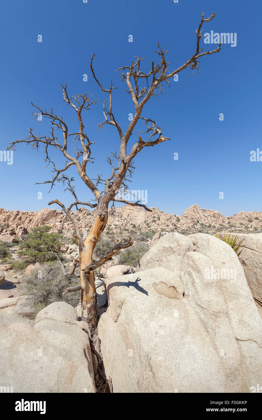 Rock scenery hi-res stock photography and images - Alamy