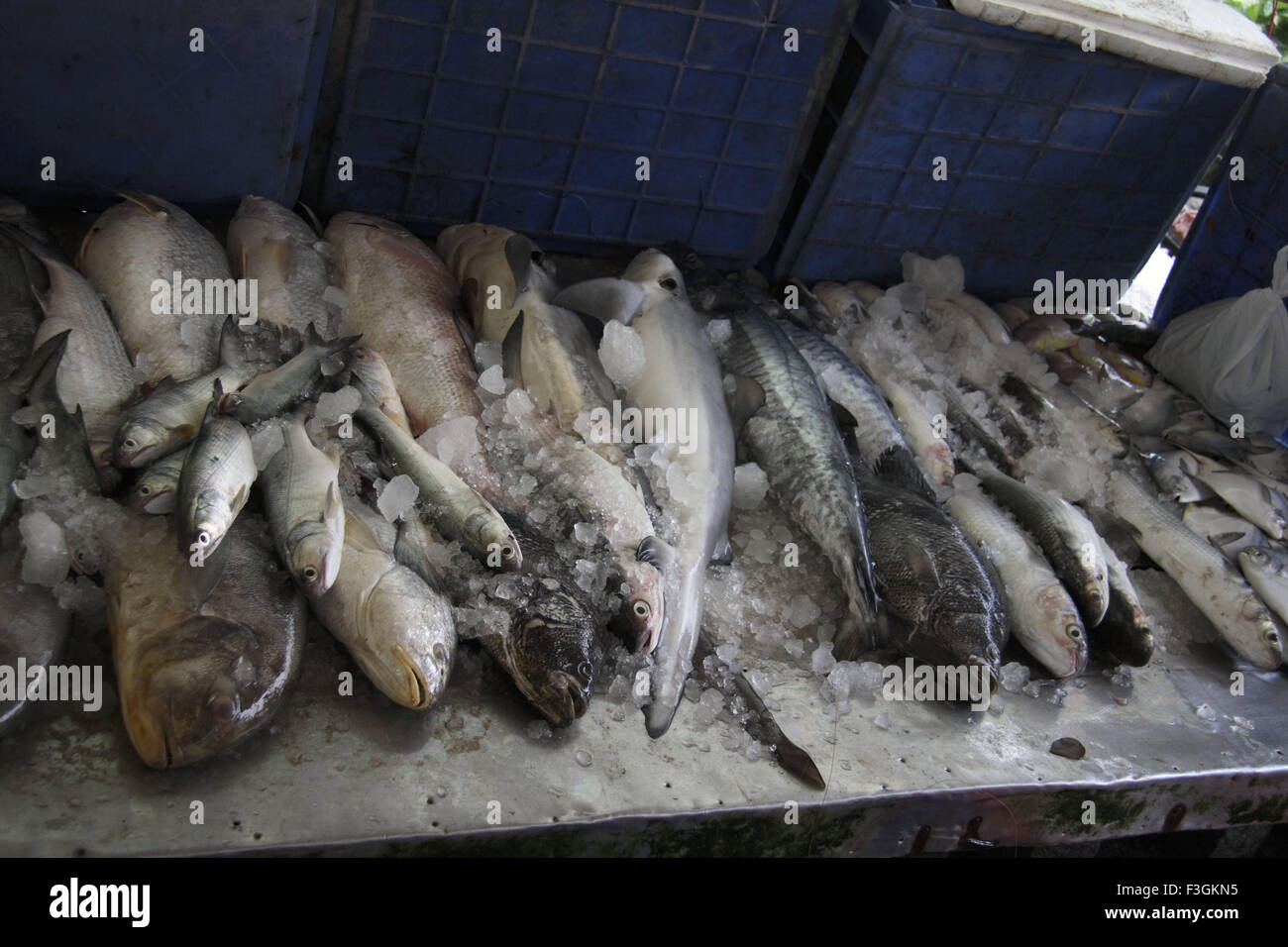 Cold storage india hi-res stock photography and images - Alamy