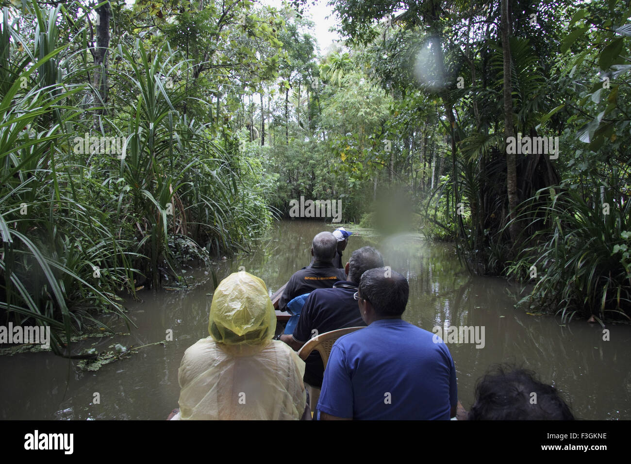 Backwater boating, Vaikom, Kottayam, Kerala, India, Asia Stock Photo ...
