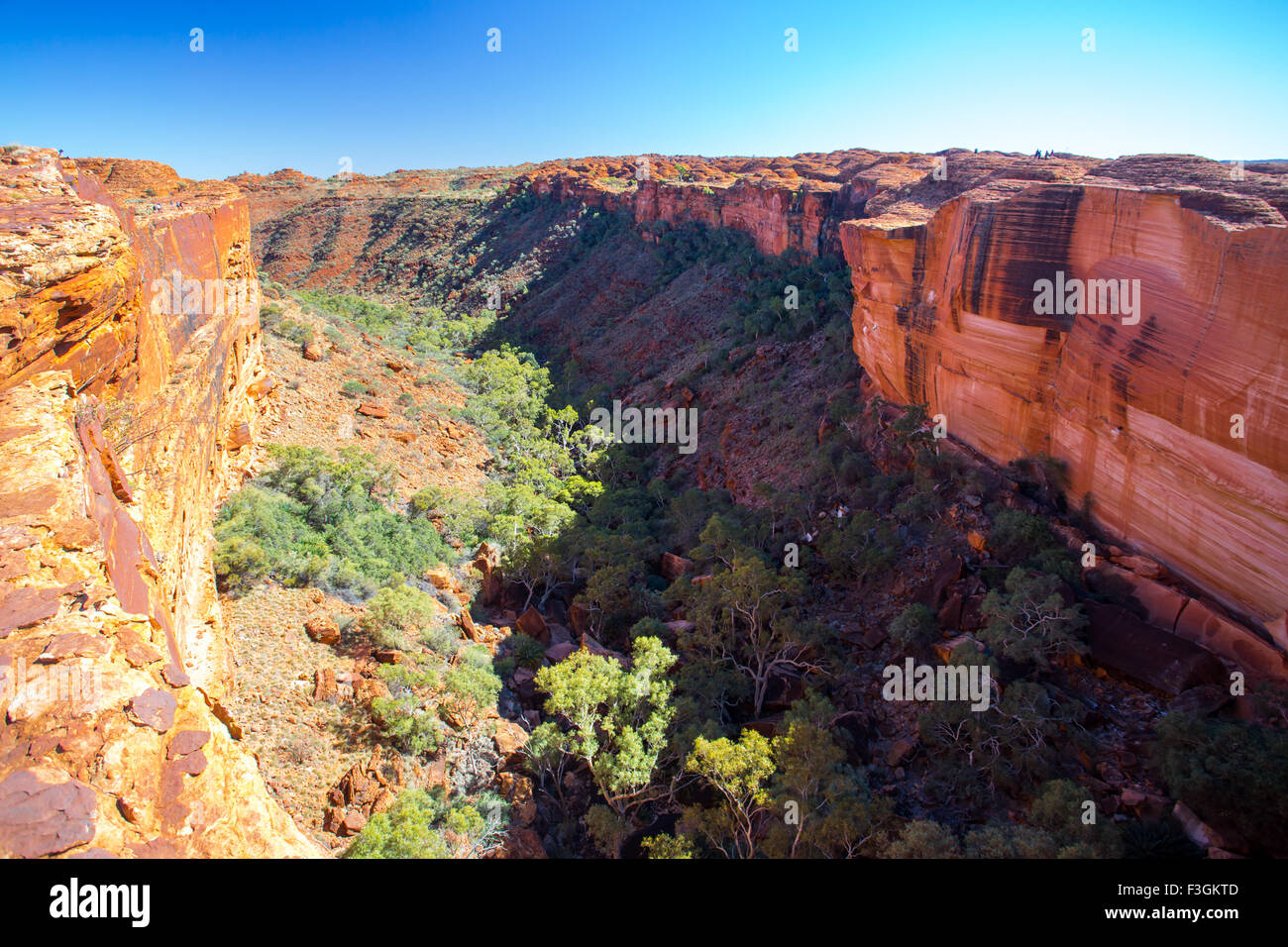 The view into a gorge from a cliff edge at Kings Canyon in Northern ...