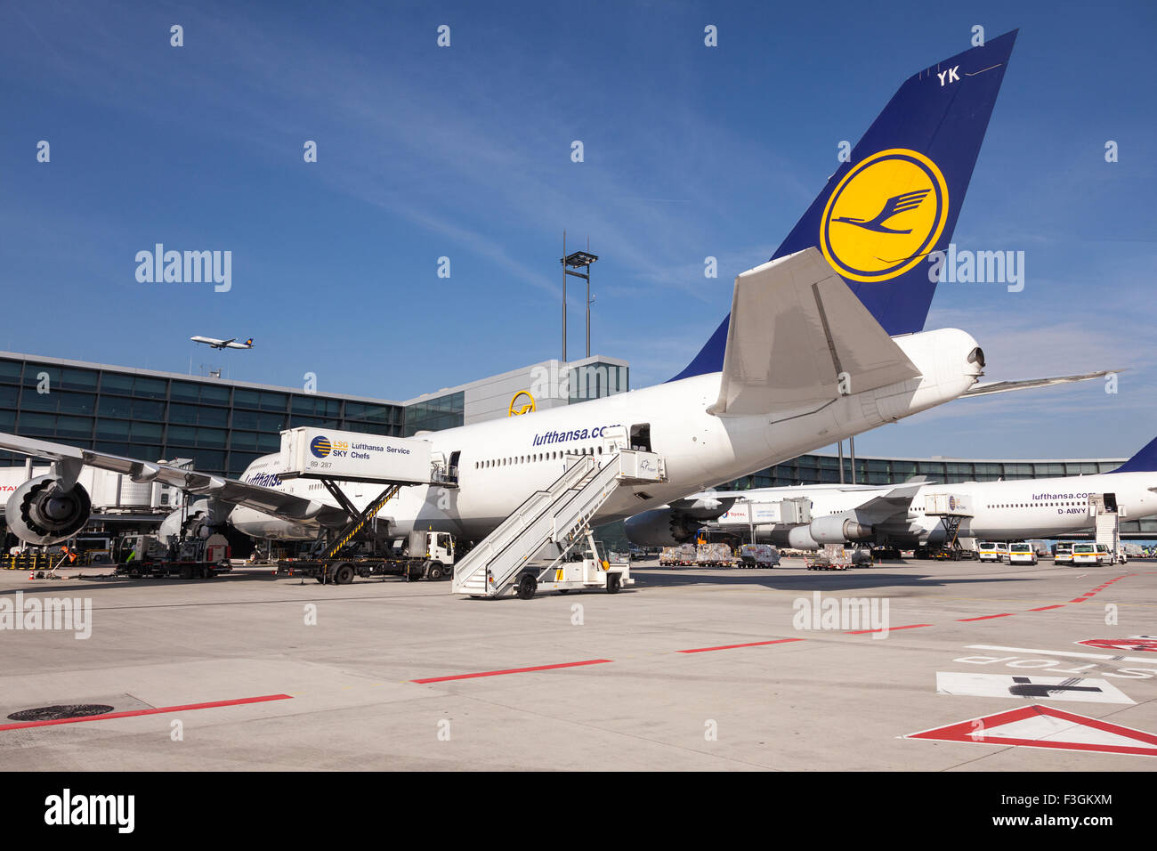 Lufthansa Boeing 747 at the Gate of the Frankfurt Airport Stock Photo ...