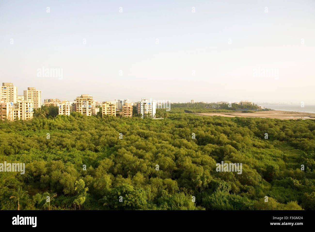 Versova beach hi-res stock photography and images - Alamy