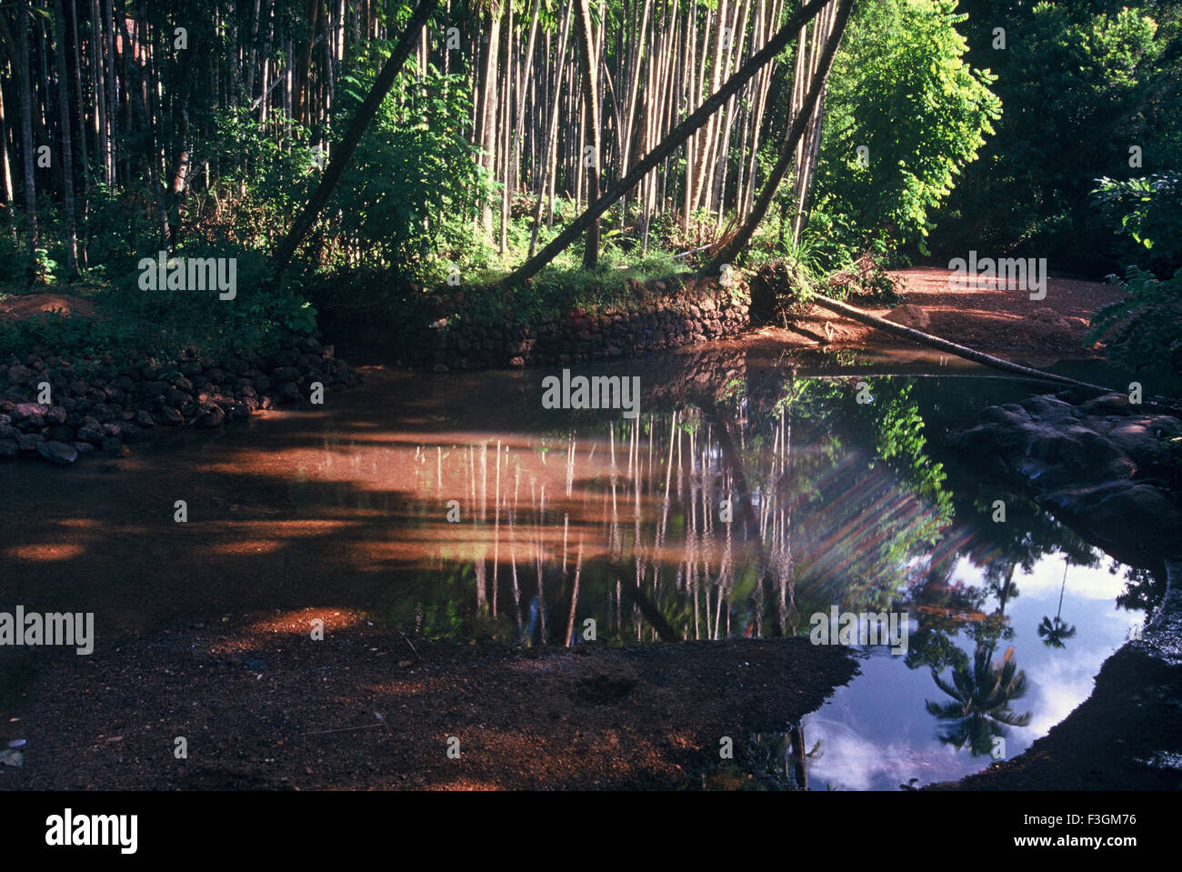 National park borivali hi-res stock photography and images - Alamy