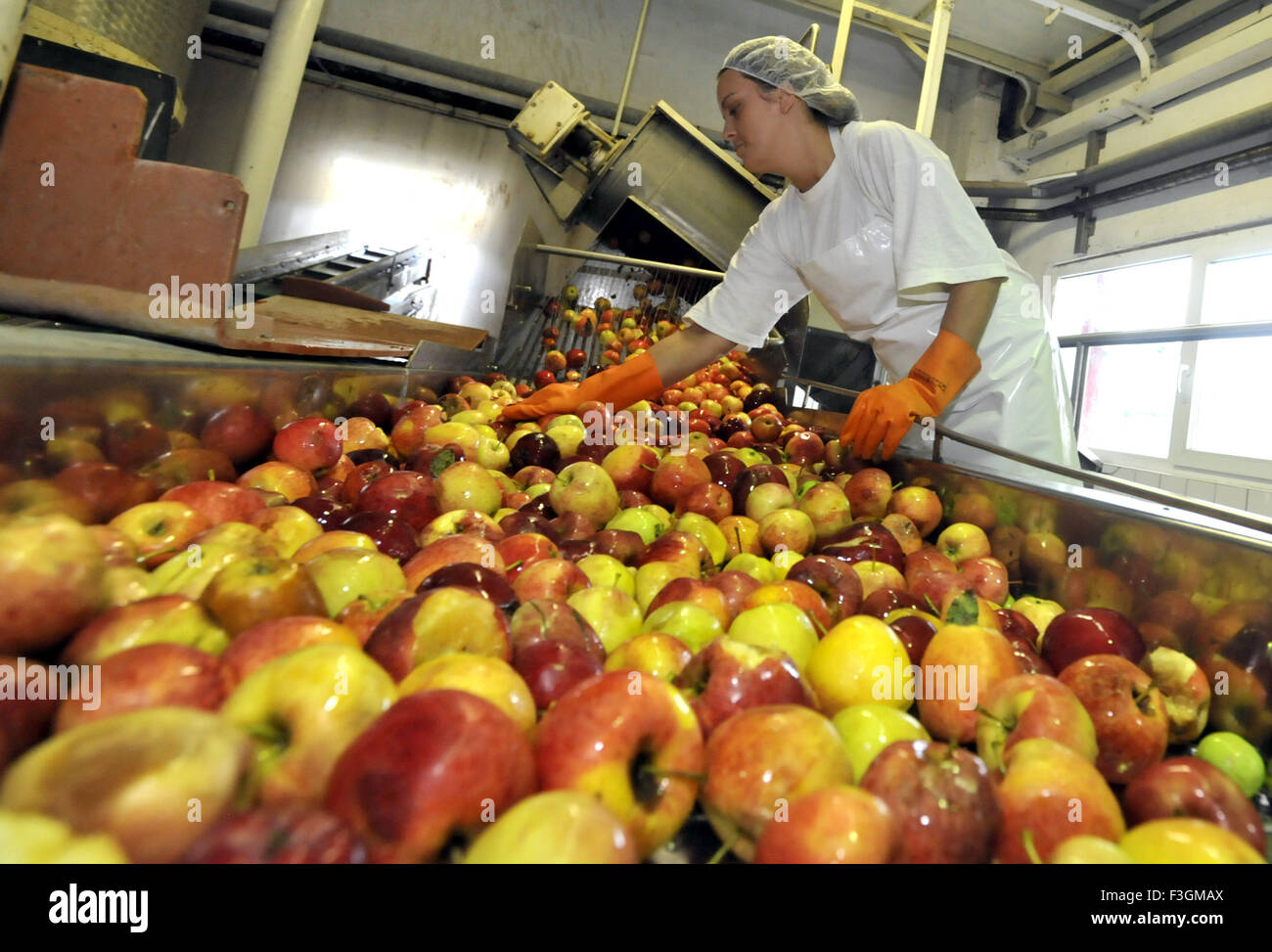 Nivnice, Czech Republic. 07th Oct, 2015. Linea Nivnice, one of the ...