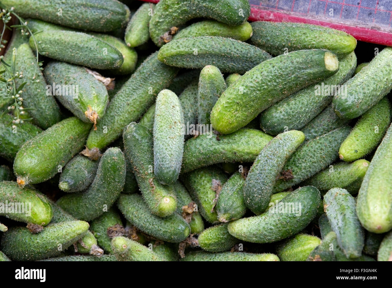 Pickle stall shop hi-res stock photography and images - Alamy