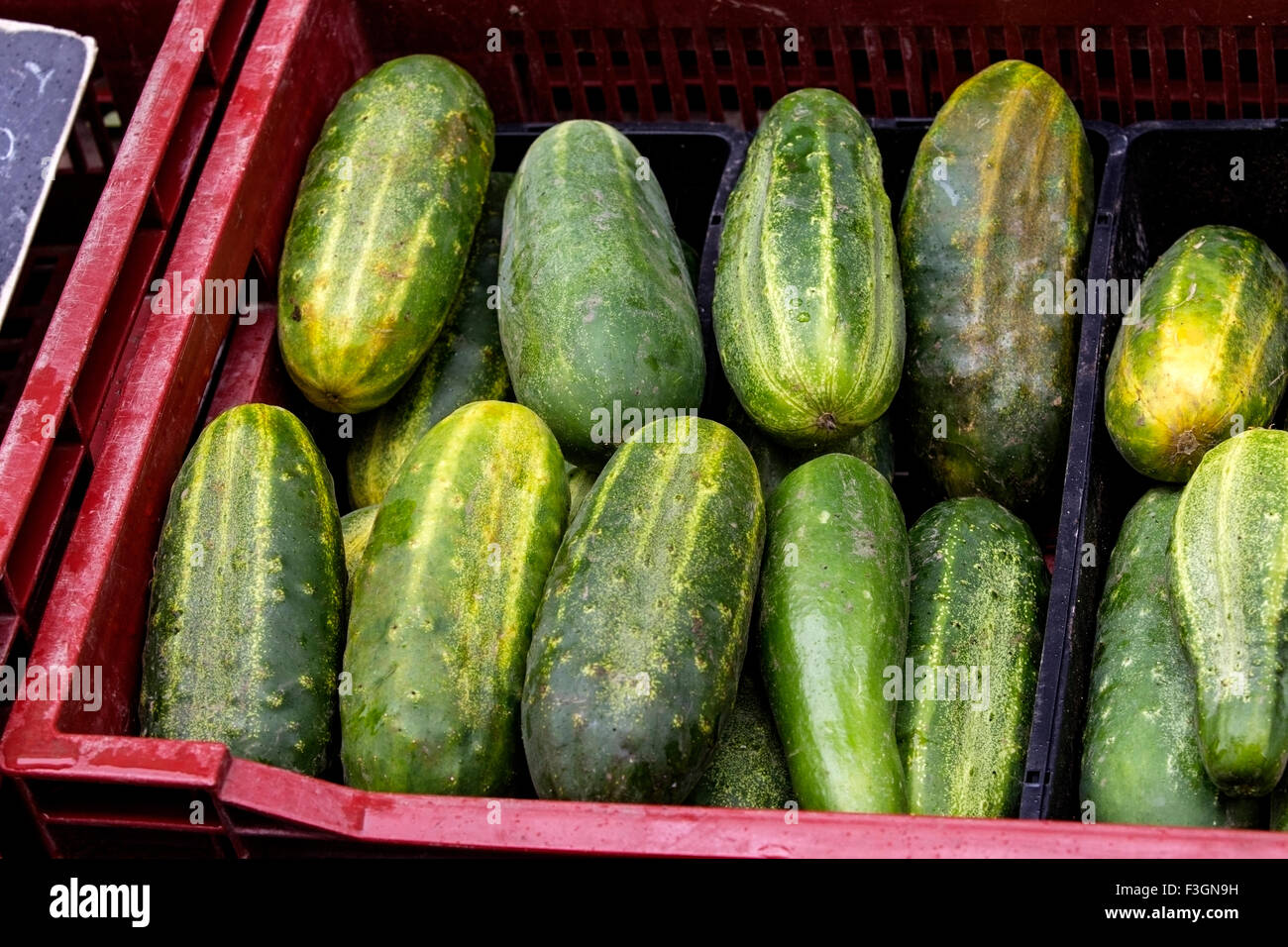 Cucumbers in box on sale at market stall, France Stock Photo - Alamy