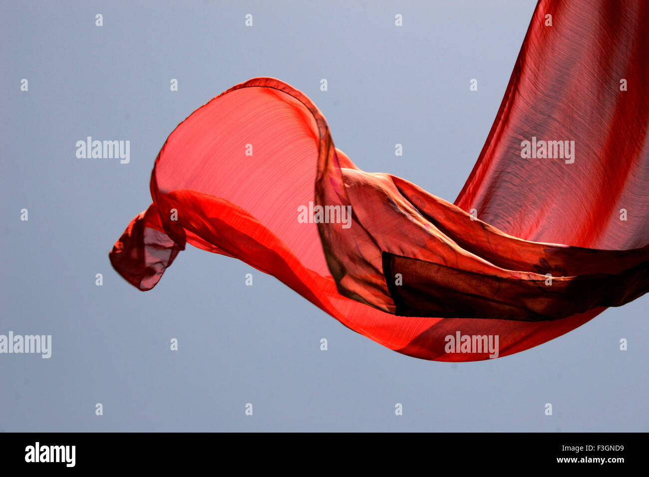 Red saree drying in wind hi-res stock photography and images - Alamy