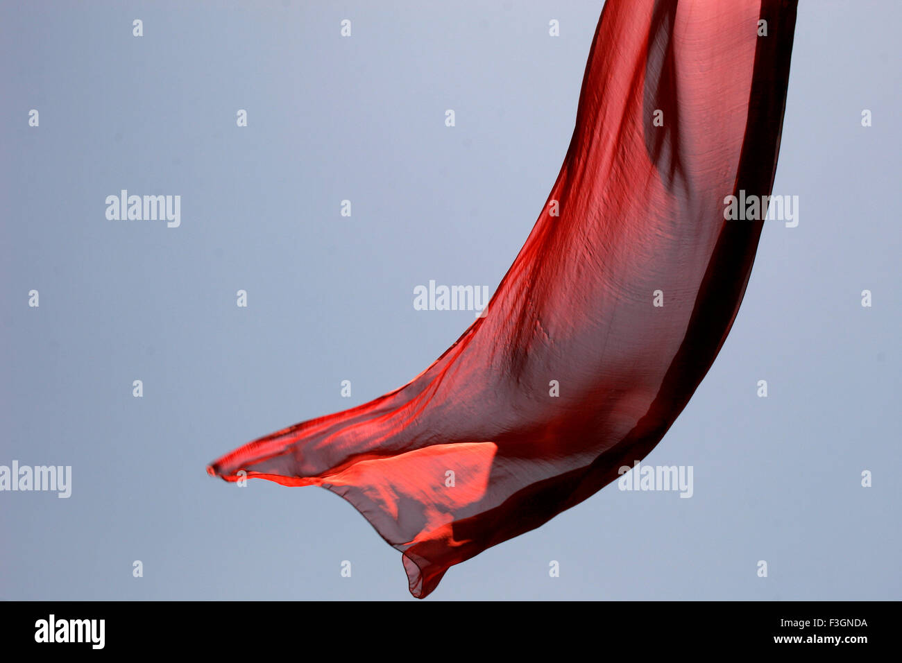 Abstract of Indian traditional ladies wear saree red color flying air ...