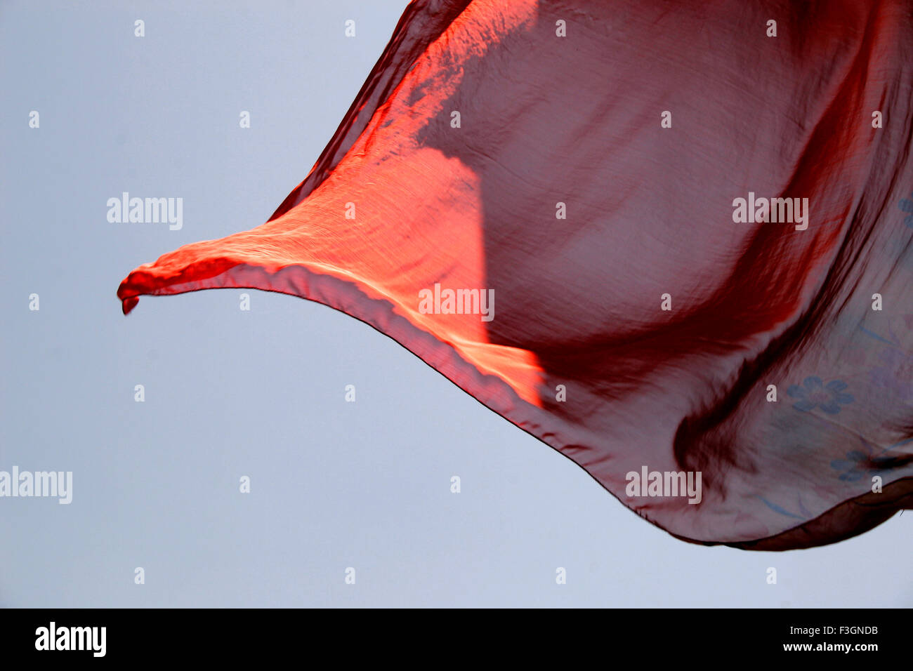 Abstract Indian traditional ladies wear saree red color flying air ...