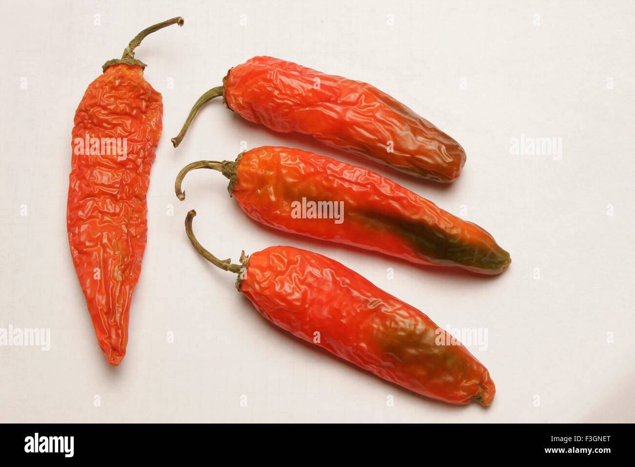 Indian spice in the form of one semi dried red pepper also known as ...