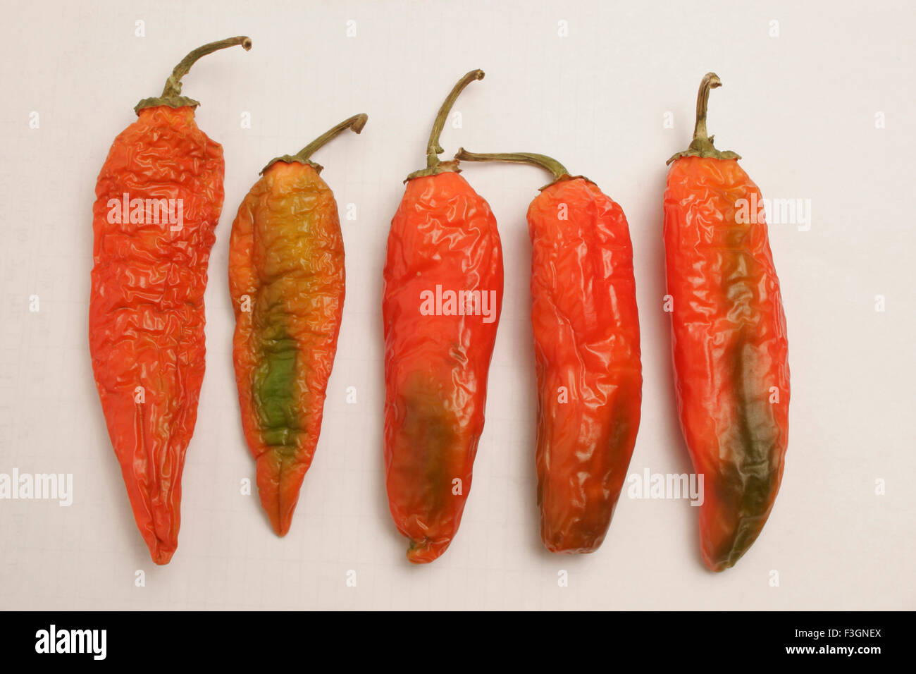 Indian spice in the form of one semi dried red pepper also known as ...