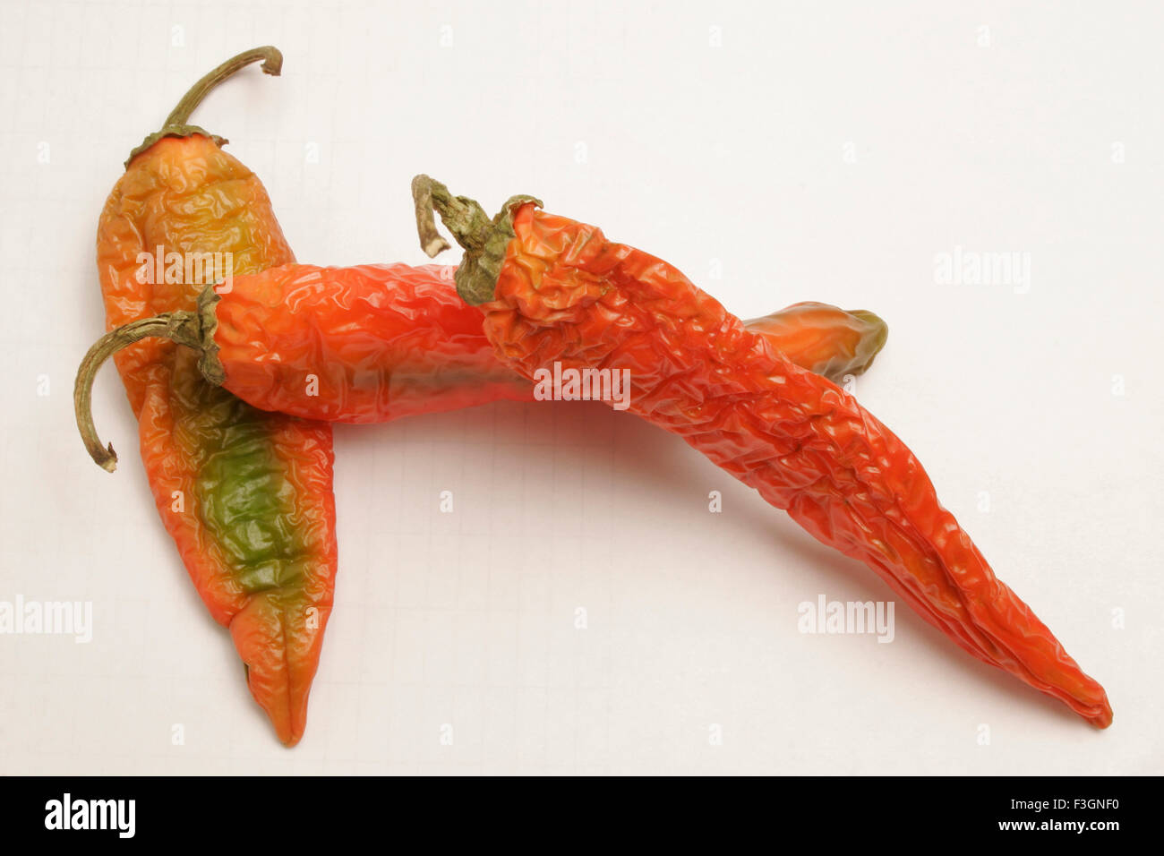Indian spice in the form of one semi dried red pepper also known as ...