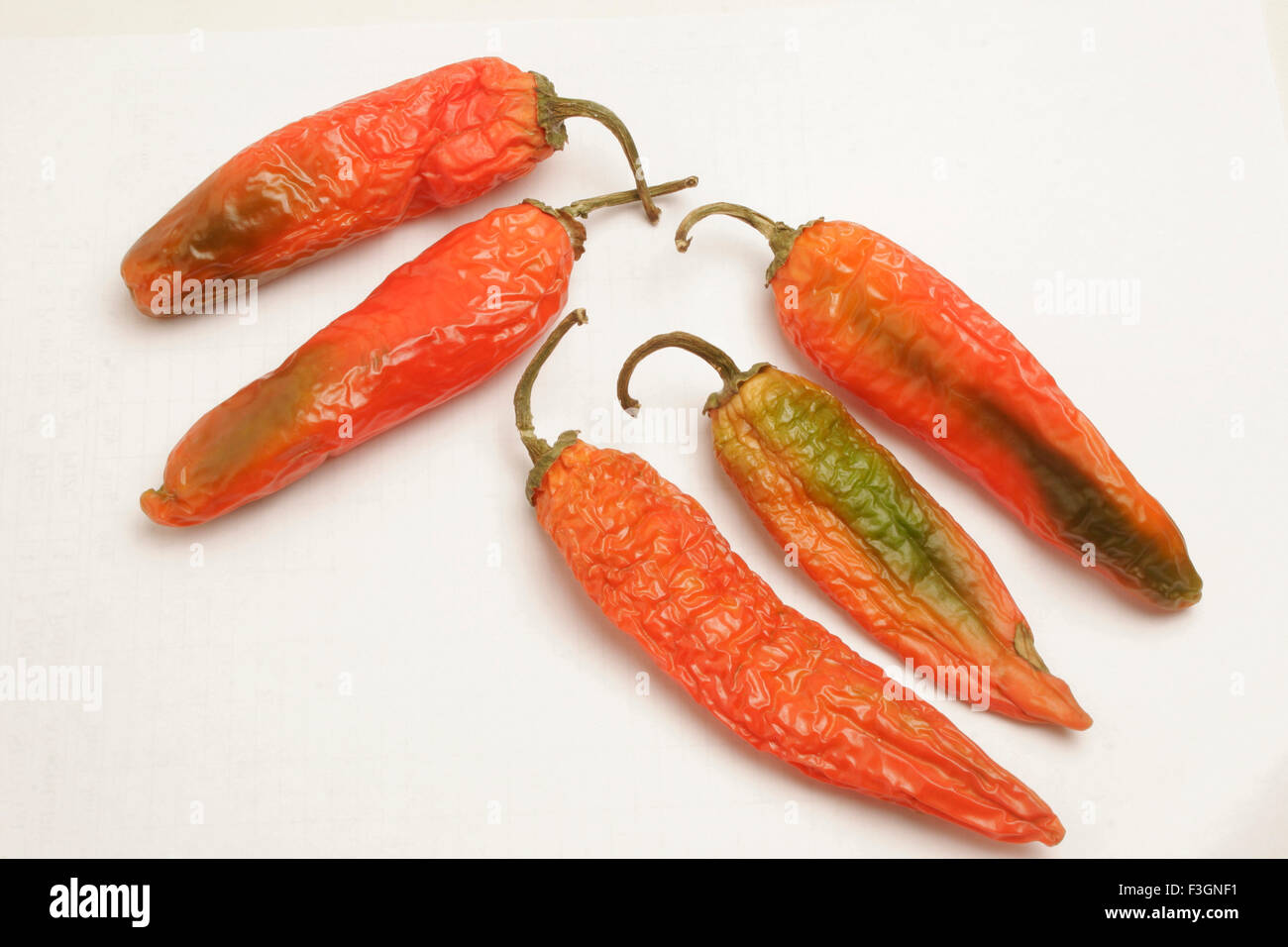 Indian spice in the form of one semi dried red pepper also known as ...