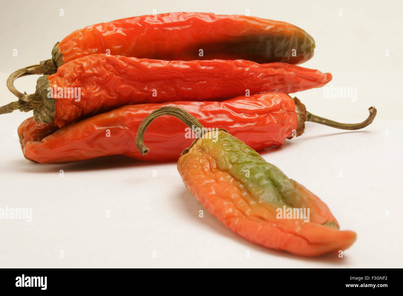 Indian spice in the form of one semi dried red pepper also known as ...
