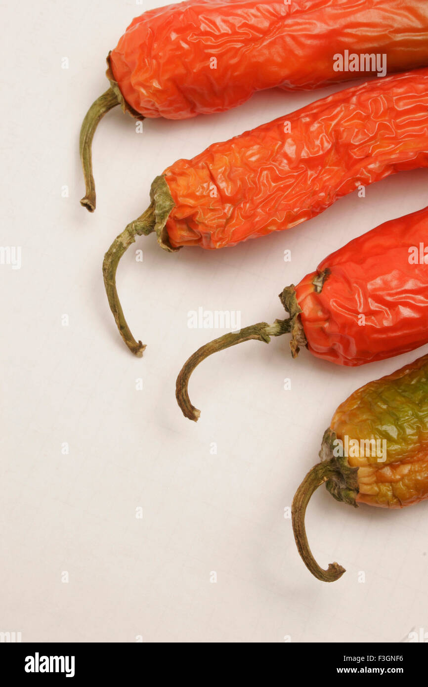 Indian spice in the form of one semi dried red pepper also known as ...