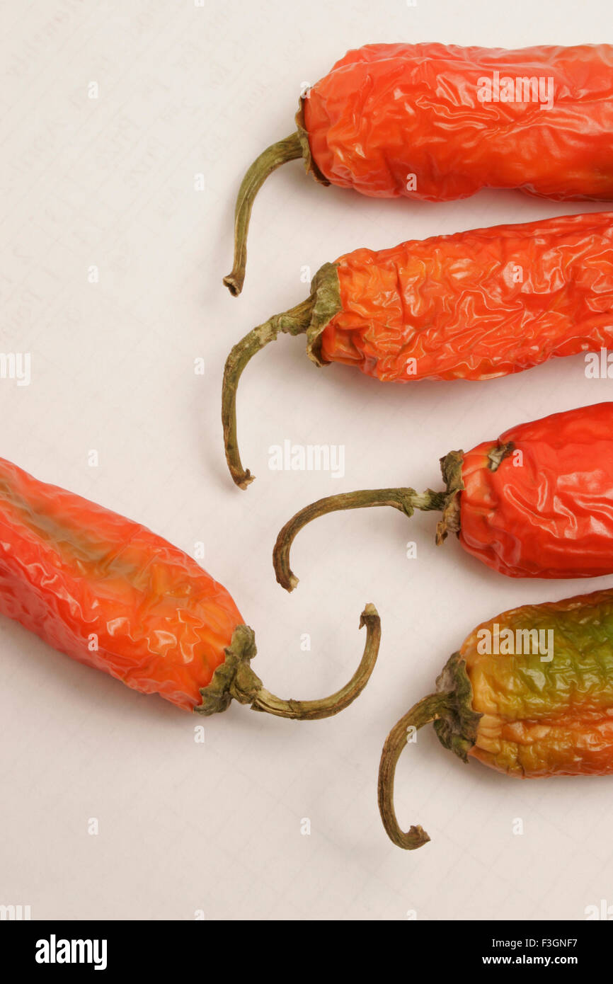 Indian spice in the form of one semi dried red pepper also known as ...