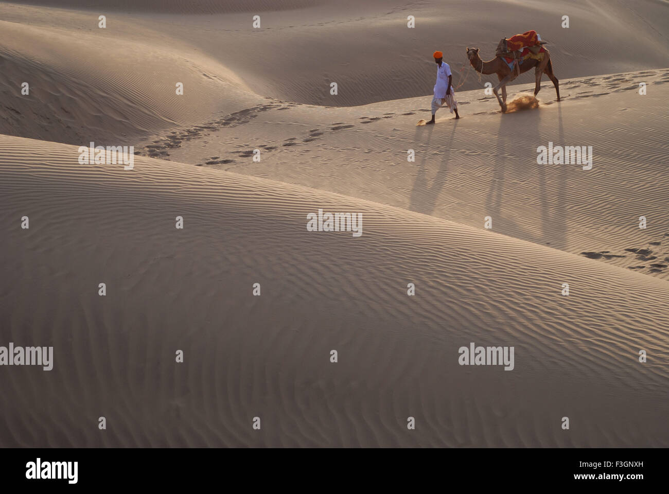 Camel moving hi-res stock photography and images - Alamy