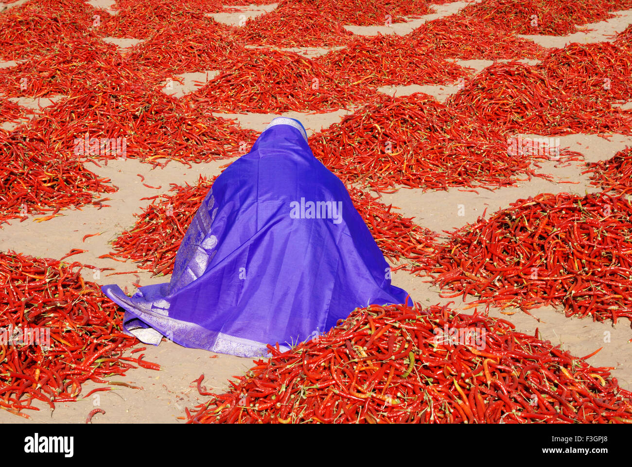 Woman drying red chillies hi-res stock photography and images - Alamy