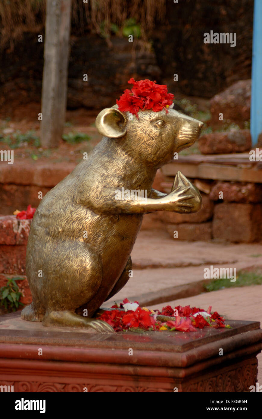 Mouse in copper at Ganpati temple at Ganpatipule ; District Raigadh ...