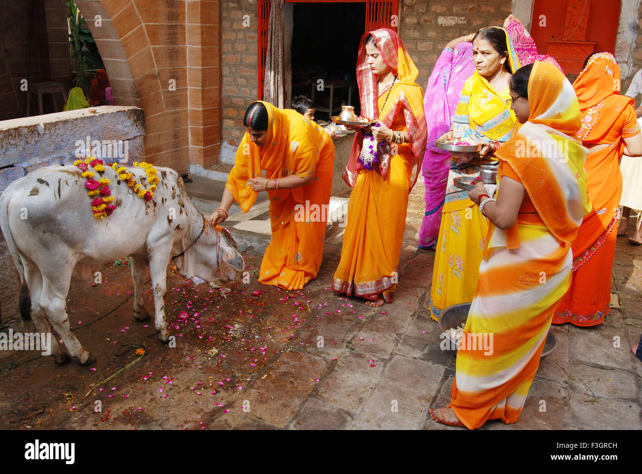 Women performing pooja of cow on Bachchabaras festival ; Jodhpur ...