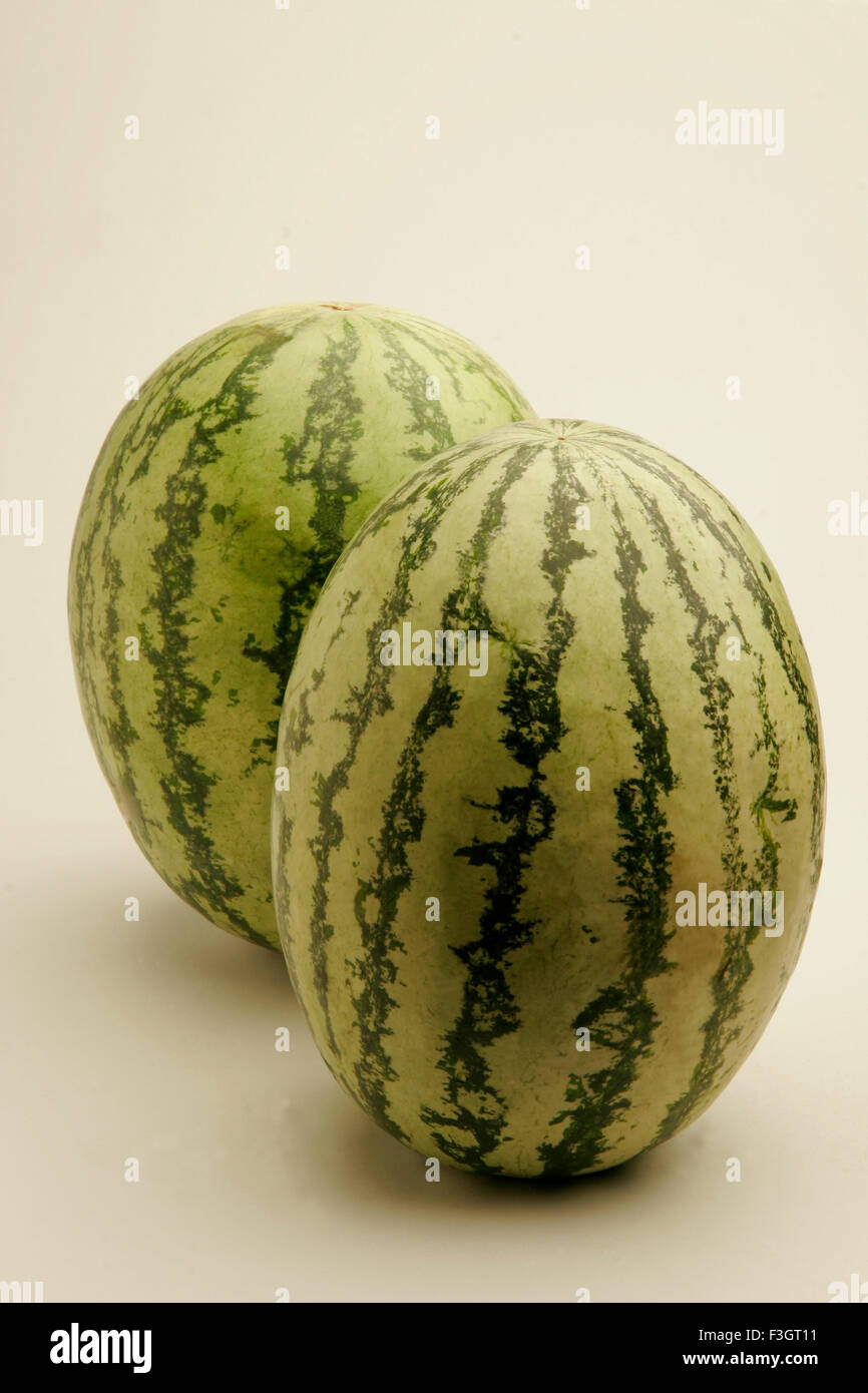 Light Green Watermelon