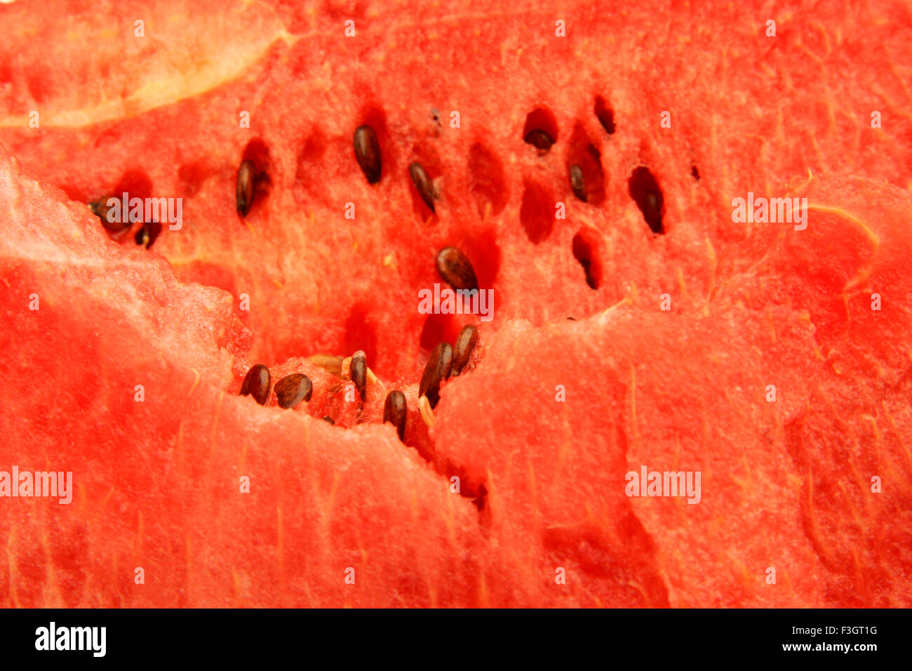 Fruits ; Watery and red pulp with black seeds of watermelon ; Pune ...