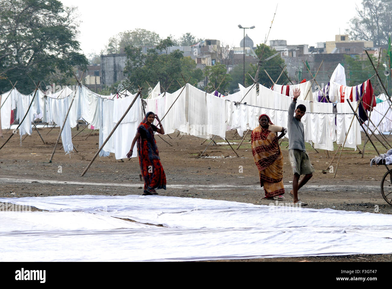 dhobi ghat, open laundry, clothes drying, Indore ; Madhya Pradesh ...