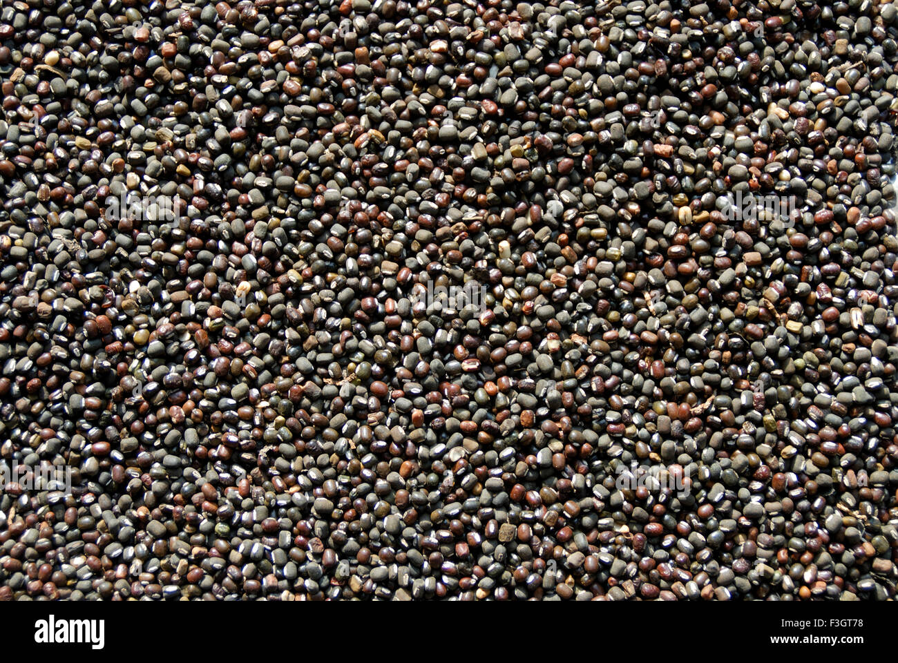 Edible pulse hi-res stock photography and images - Alamy