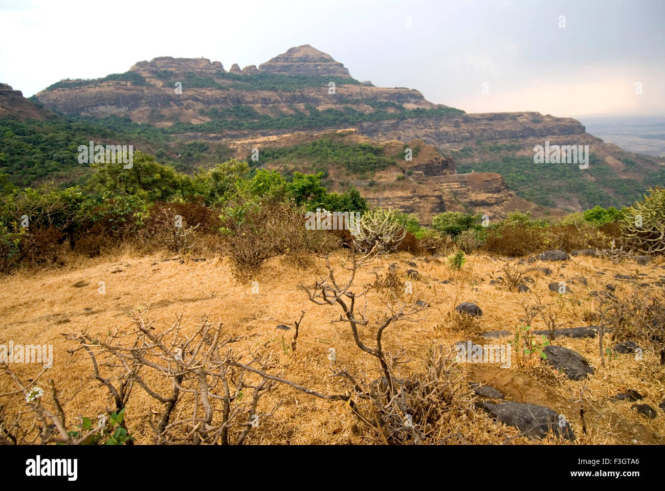 Mountain in summer ; malshej ghat ; Maharashtra ; India Stock Photo - Alamy