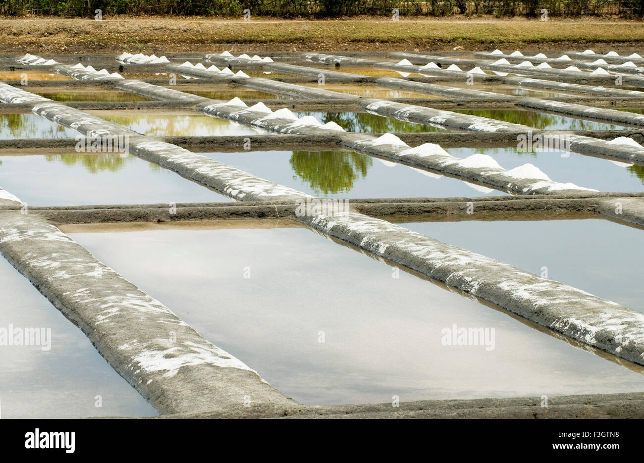 Shiroda Stock Photos & Shiroda Stock Images - Alamy