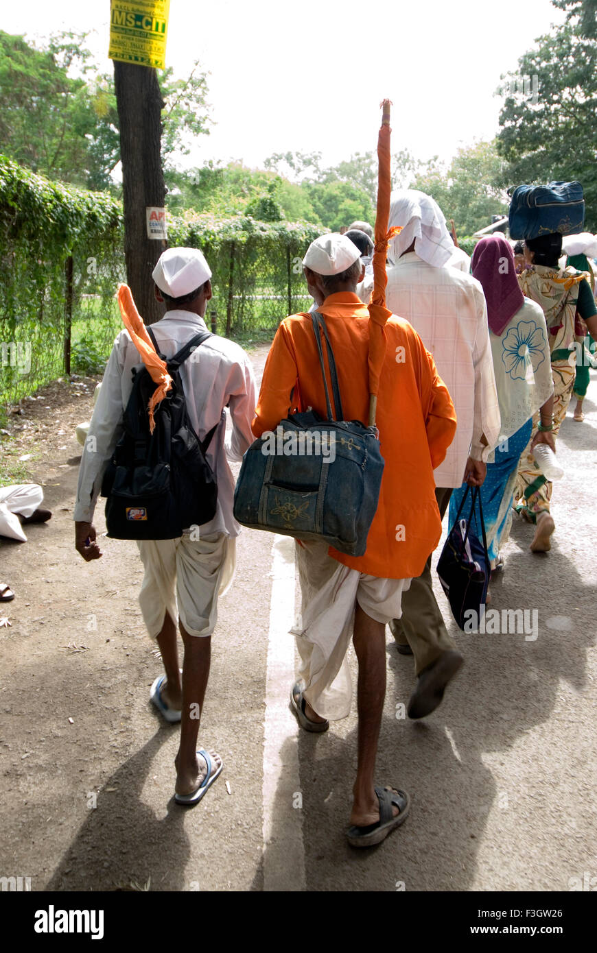 Group of village people on pilgrimage of vari ; procession from Alandi ...