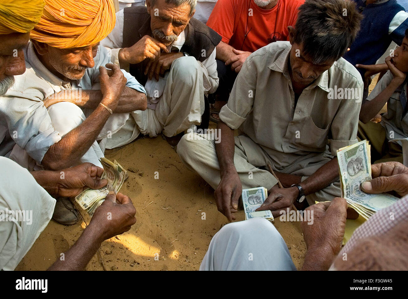 Money exchanged between camel buyer and seller at Pushkar cattle fair ...