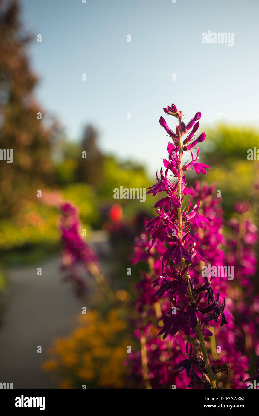 Arty portrait hi-res stock photography and images - Alamy