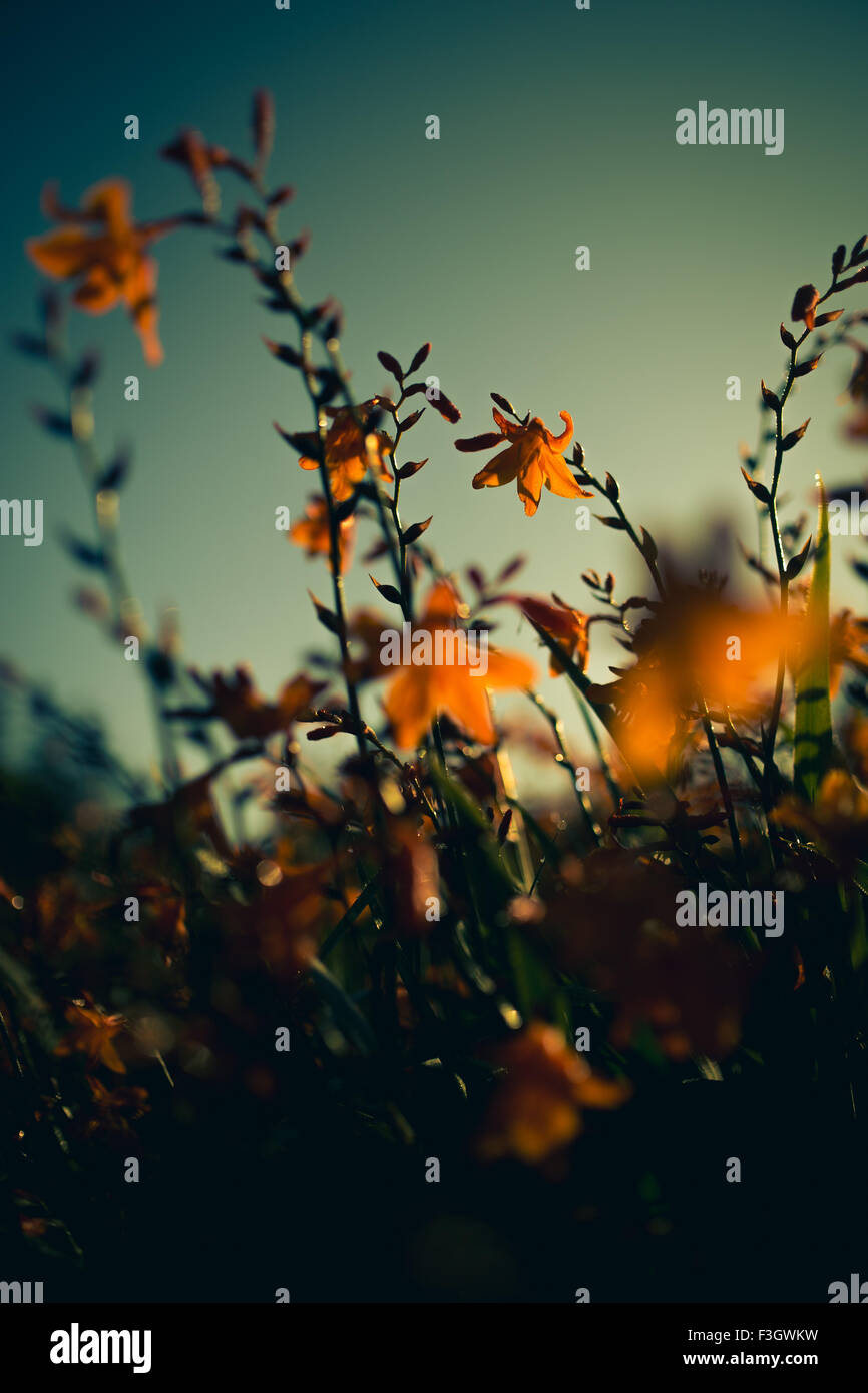 Circular portraits hi-res stock photography and images - Alamy