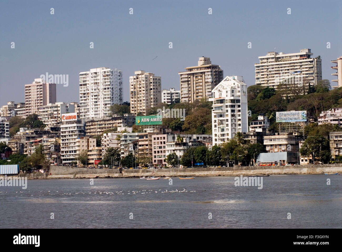 View of Mumbai buildings and Arabian sea with seagulls on water ...