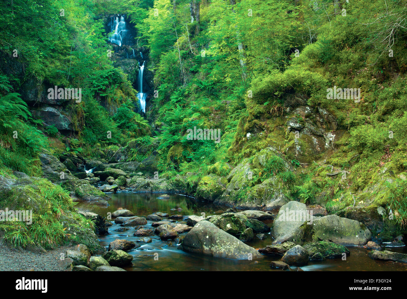 Mhangan hi-res stock photography and images - Alamy