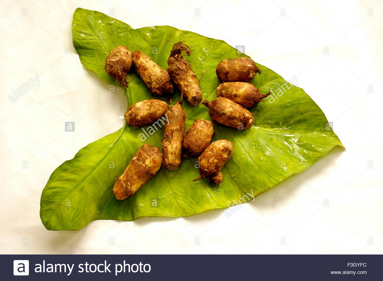 Edible Roots Stock Photos & Edible Roots Stock Images - Alamy