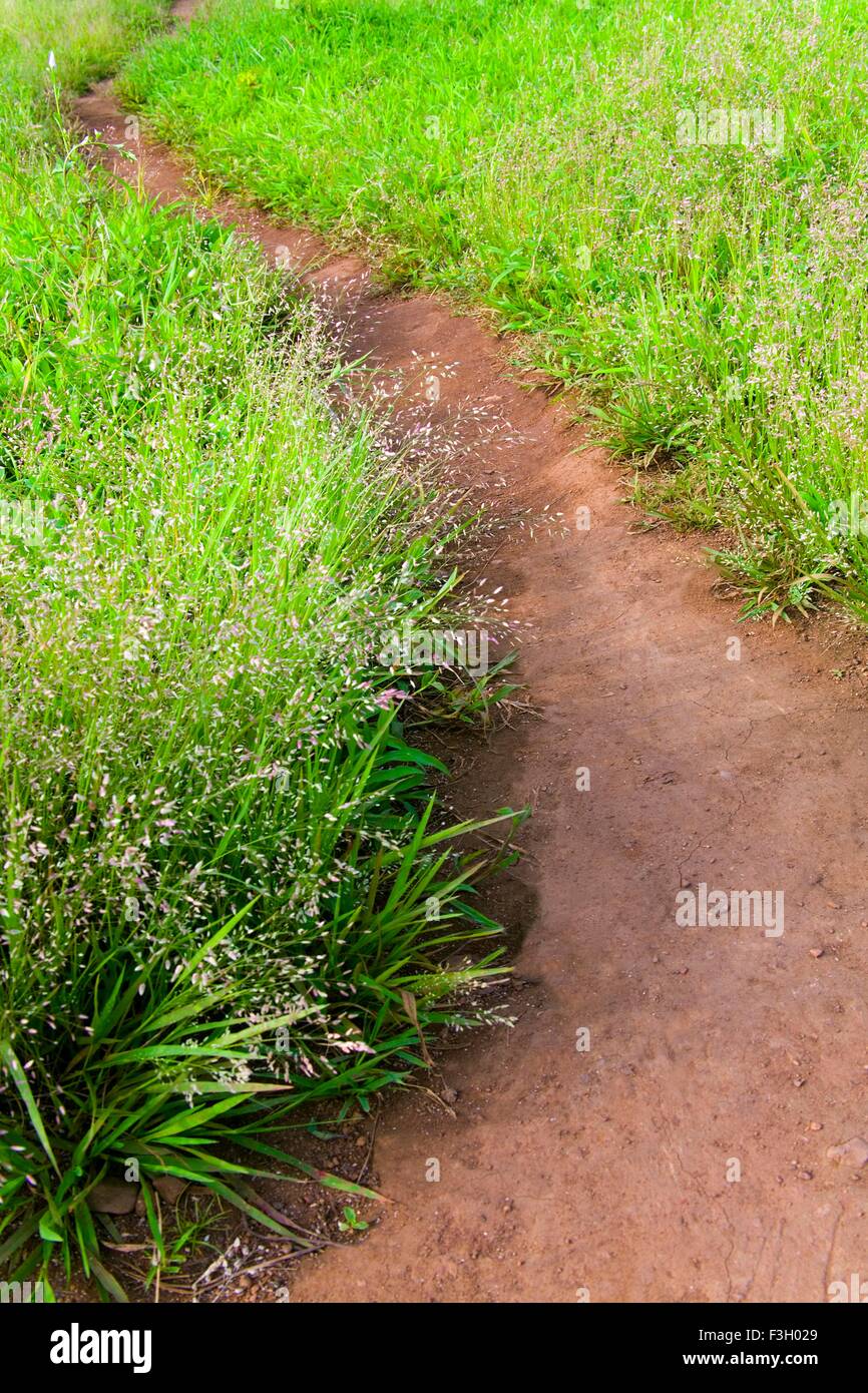 Footway ; mud path with greenery ; Sanjay Gandhi National Park ...