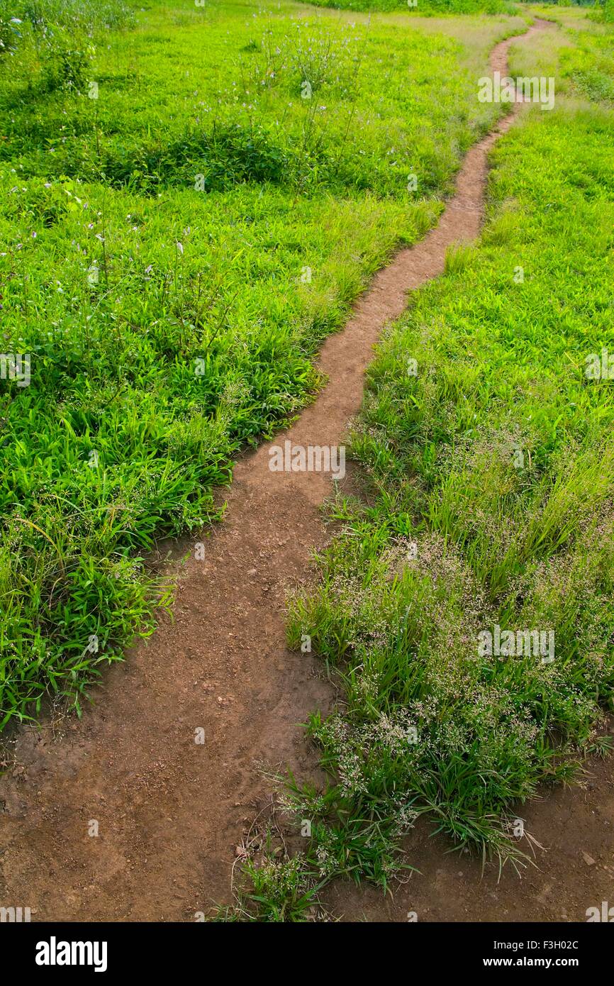 Footway ; mud path with greenery ; Sanjay Gandhi National Park ...