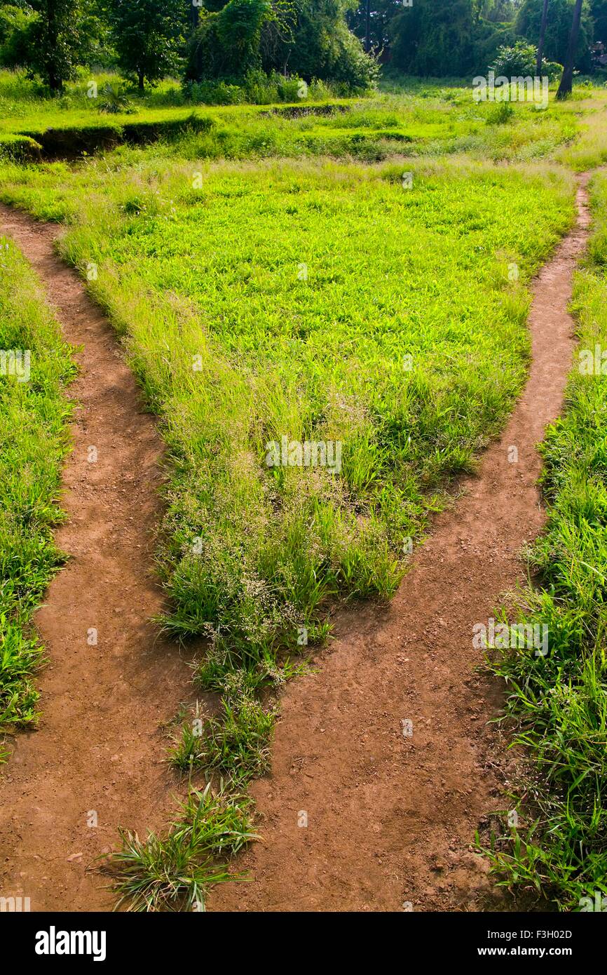 Footway two way ; mud path with greenery ; Sanjay Gandhi National Park ...