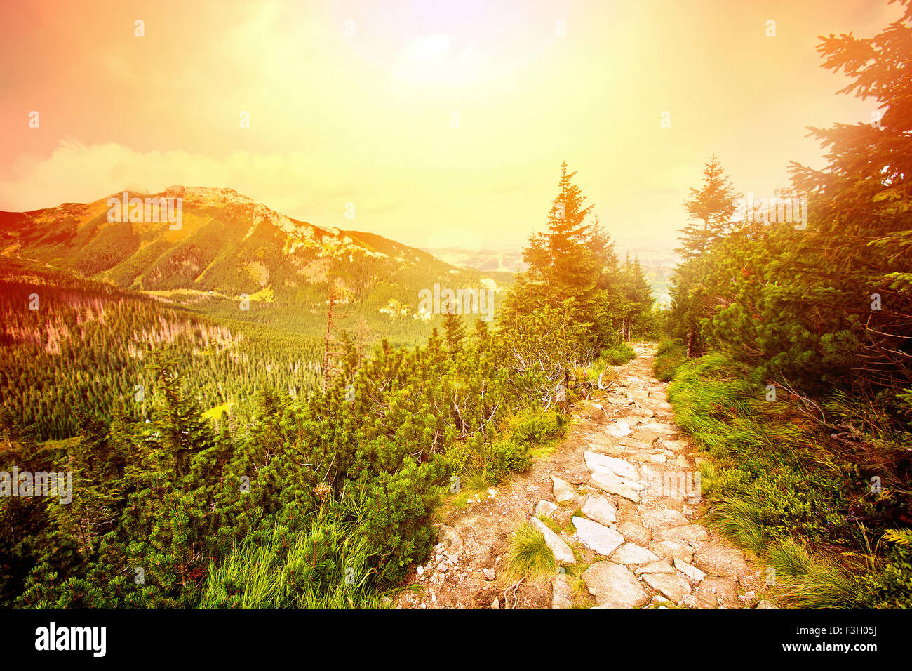 Fantasy and colorfull nature landscape. Nature conceptual image Stock ...