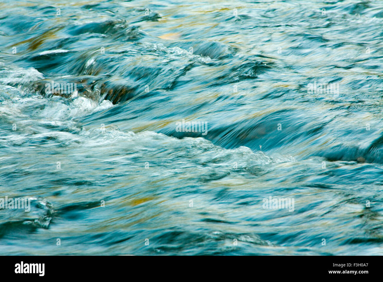 Creative curve and form flow of river water ; Sanjay Gandhi National ...