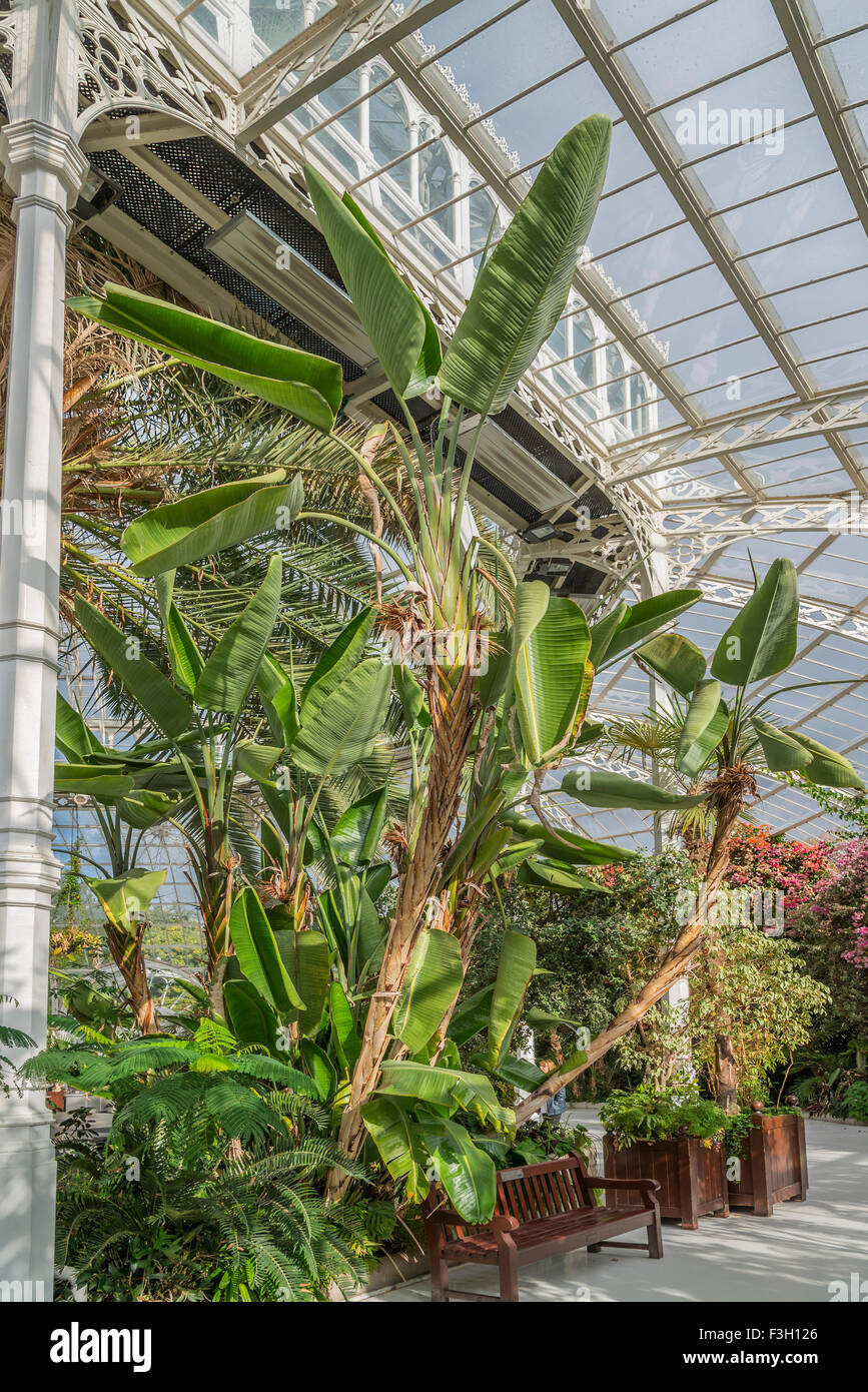 Greenhouse and conservatory hi-res stock photography and images - Alamy