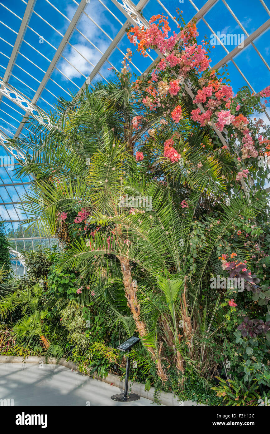 Greenhouse and conservatory hi-res stock photography and images - Alamy