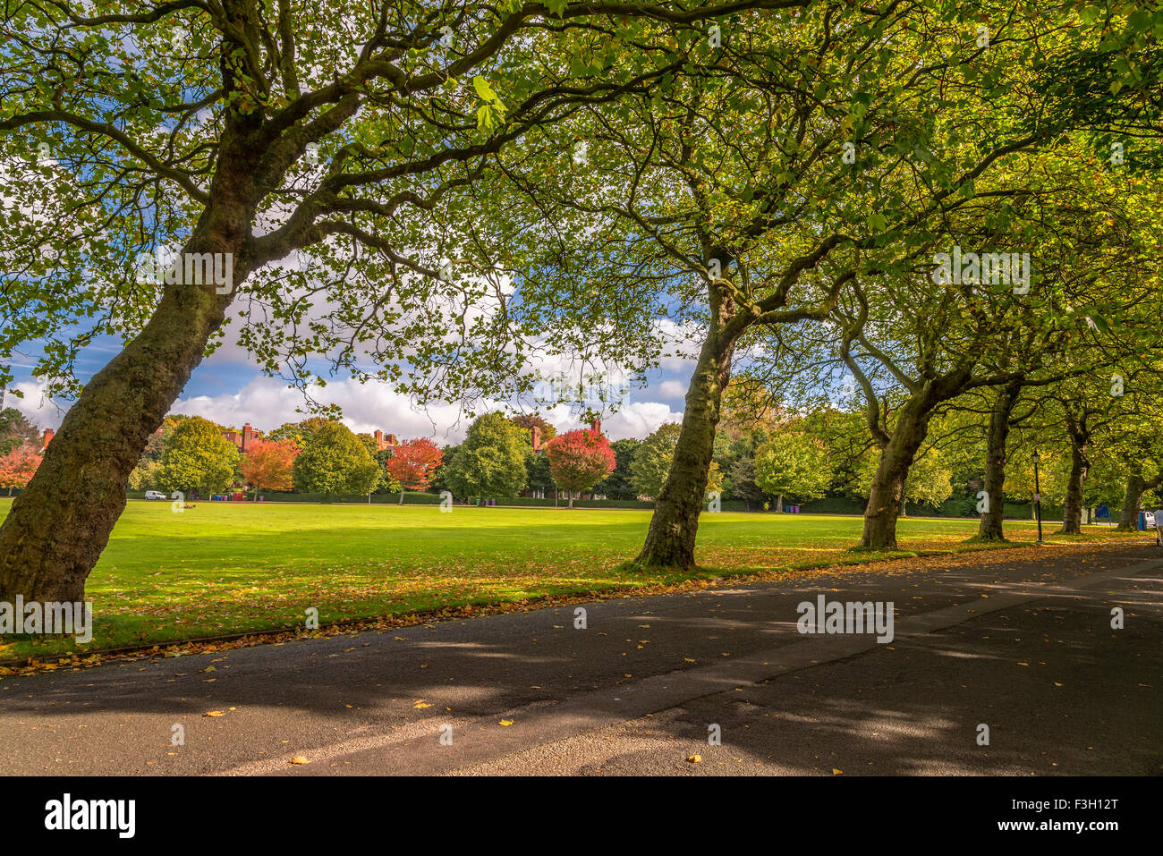 Autumn colours in Sefton Park Liverpool. Merseyside North West England ...
