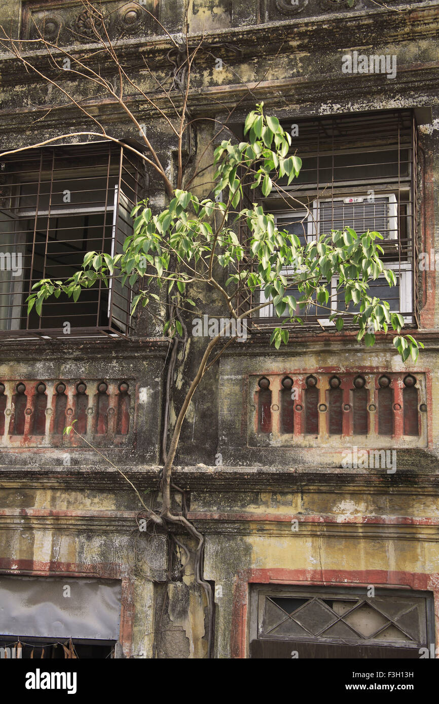 Old building Motiwala ; DR. Dadasaheb Bhadkamkar road ; Grant road ...