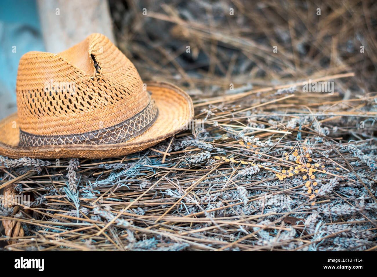 Old straw hat hi-res stock photography and images - Alamy